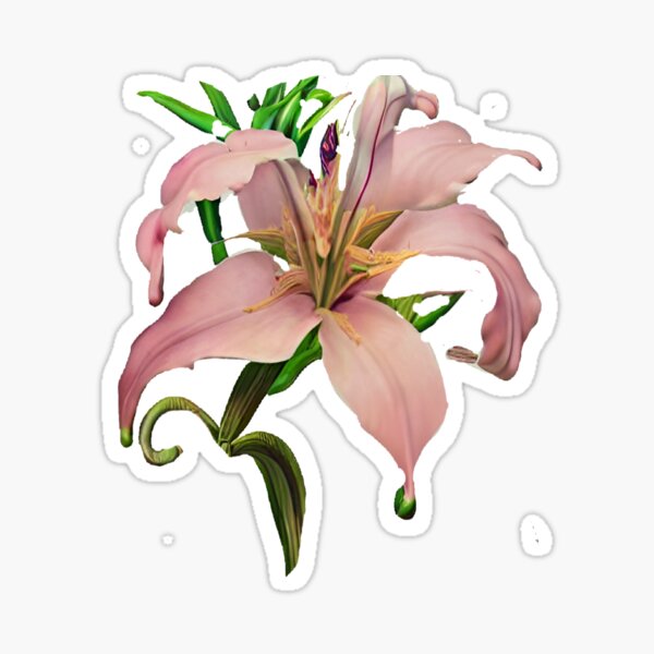 "Digital image floral pink lilly " Sticker for Sale by Gala-life1 ...