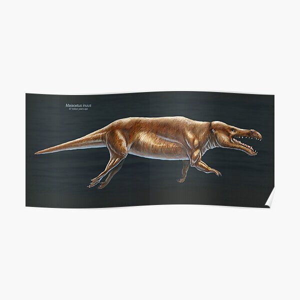 "Maiacetus inuus Restored" Poster by Thedragonofdoom | Redbubble