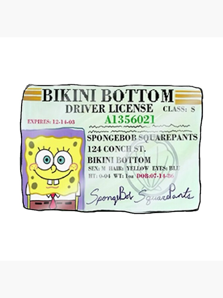 "SpongeBob’s Drivers license " Sticker for Sale by Rapi02 | Redbubble
