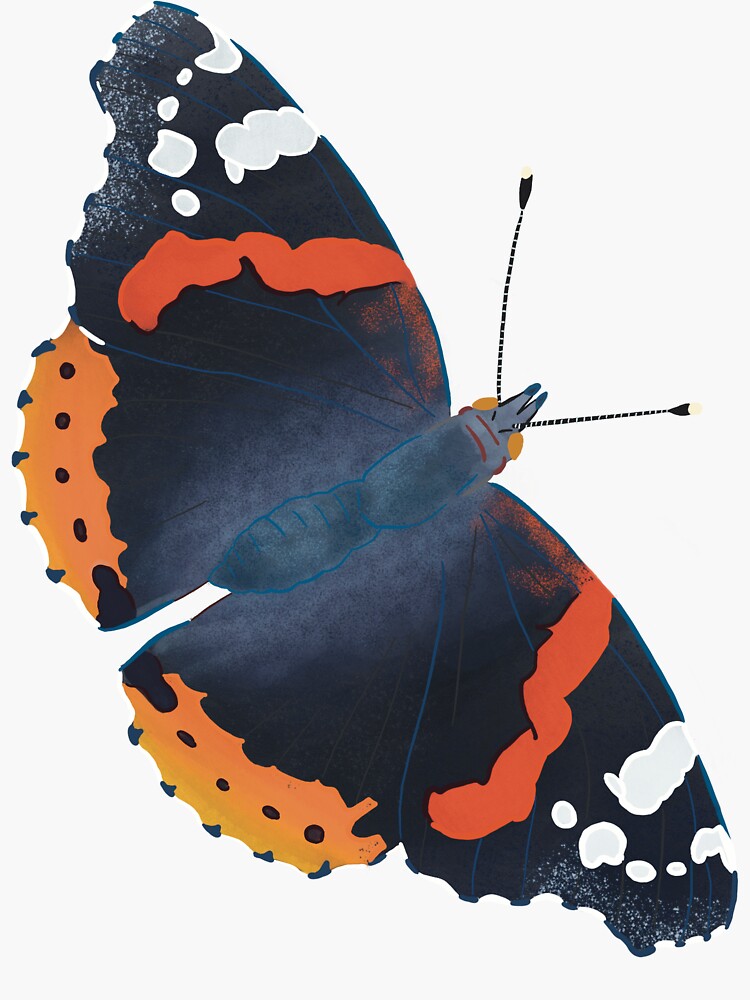 "Red Admiral Butterfly" Sticker for Sale by maggiemuffin13 | Redbubble