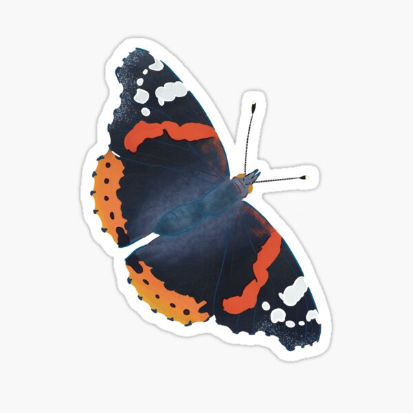"Red Admiral Butterfly" Sticker for Sale by maggiemuffin13 | Redbubble