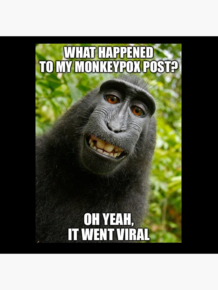 "Monkeypox meme funny, funny monkeypox meme/ monkey pox memes for ...