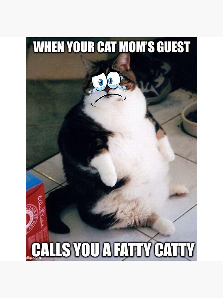 "Funny yet sad cat crying meme design for cat lovers and cat owners ...