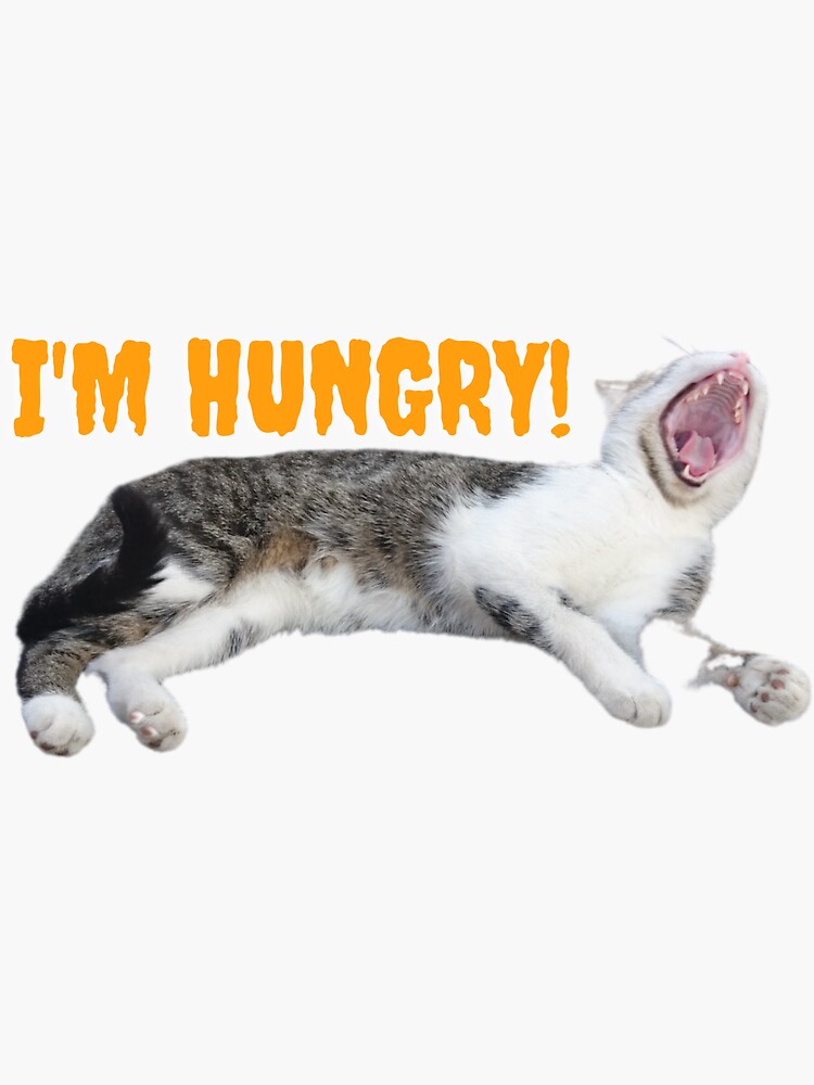 "Very Hungry cat crazy cat" Sticker for Sale by ladypharmacy | Redbubble
