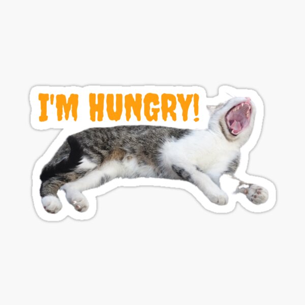 "Very Hungry cat crazy cat" Sticker for Sale by ladypharmacy | Redbubble