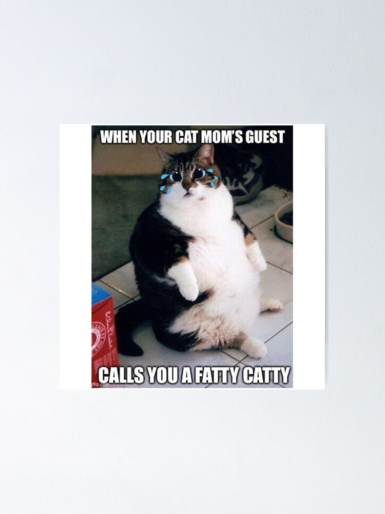 "Funny yet sad cat crying meme design for cat lovers and cat owners ...