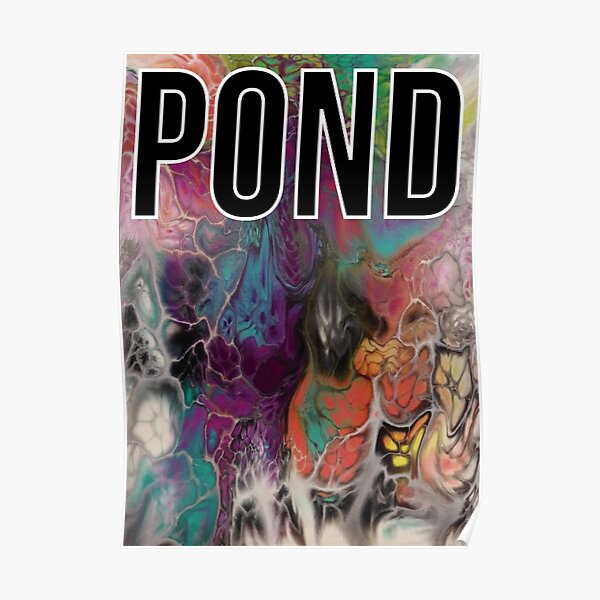 "Pond" Poster for Sale by Iapommedeterre | Redbubble