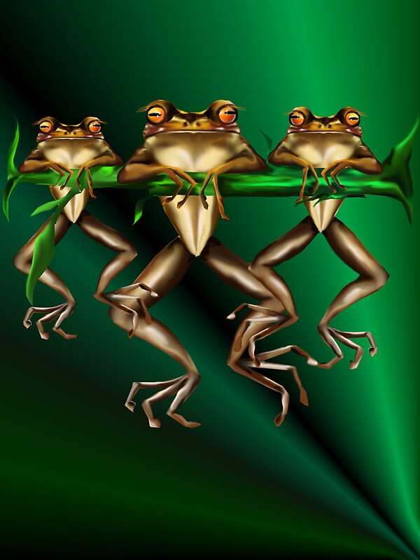 "The Three Frogs" by Lotacats | Redbubble