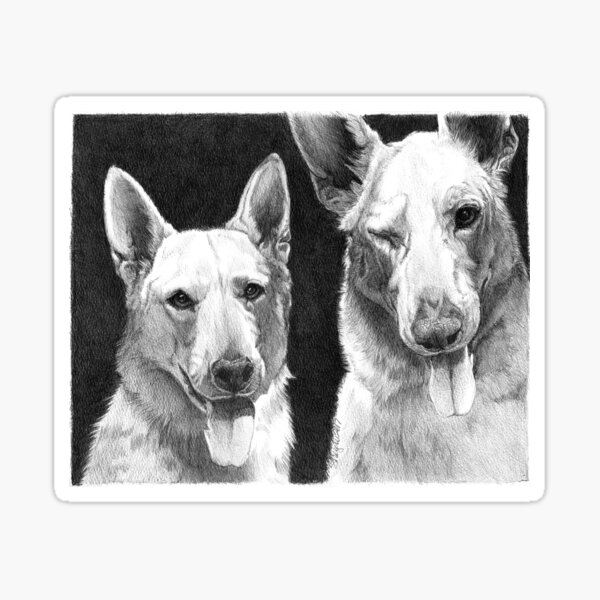 "LADY AND CHIEF/German Shepherd Dog" Sticker by FaithfulFaces | Redbubble