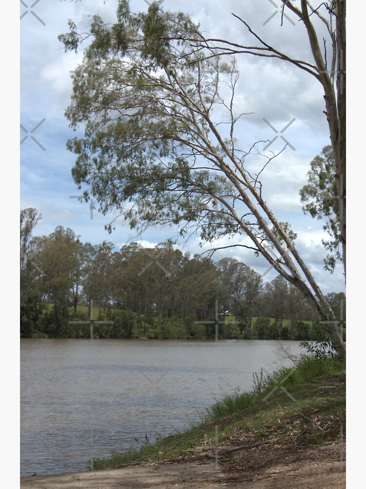 "Leaning Tree" Sticker for Sale by MSPhotography68 | Redbubble