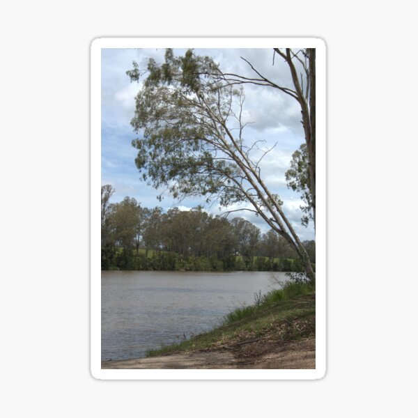 "Leaning Tree" Sticker for Sale by MSPhotography68 | Redbubble