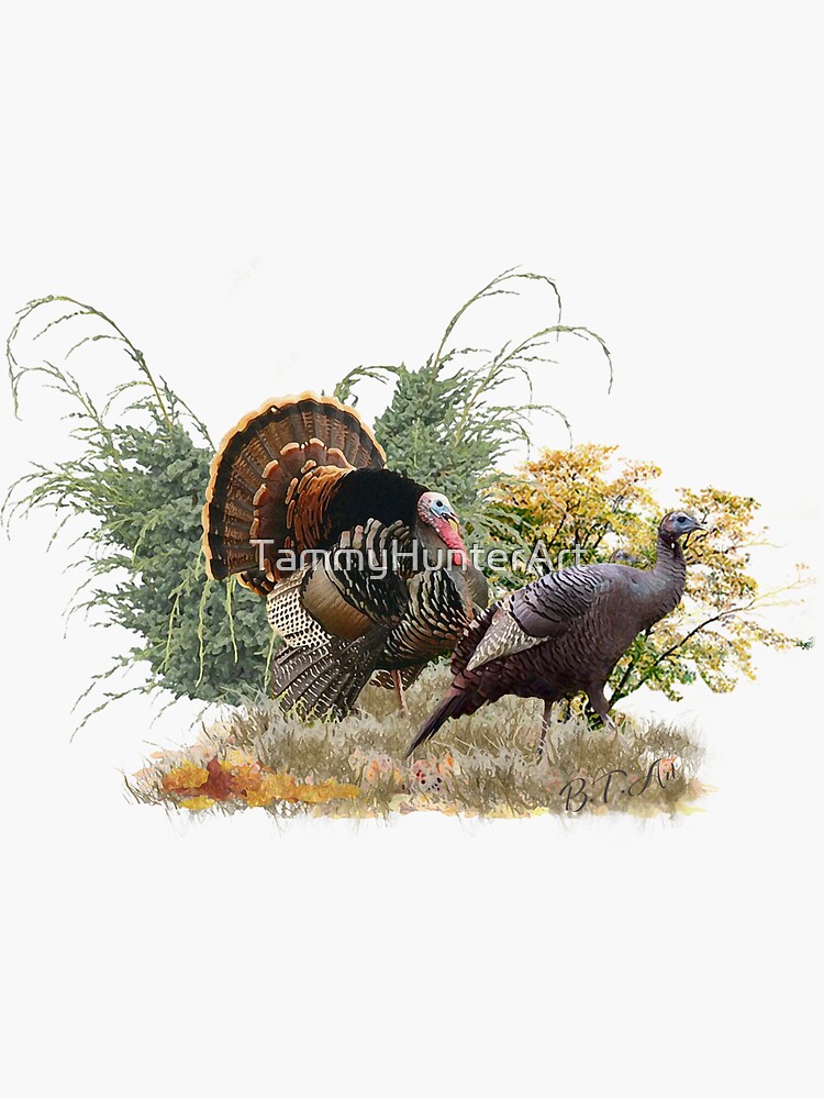 "Wild turkey, game bird " Sticker for Sale by TammyHunterArt | Redbubble