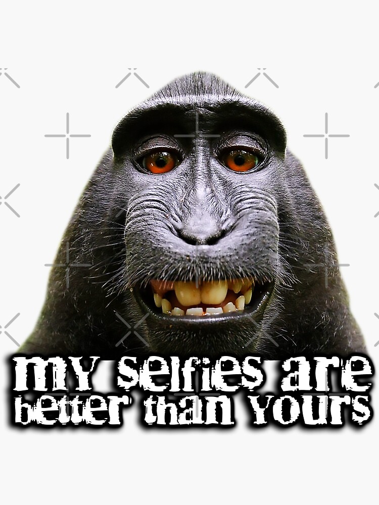 "Famous Monkey Selfie" Sticker for Sale by 70-80-90 | Redbubble