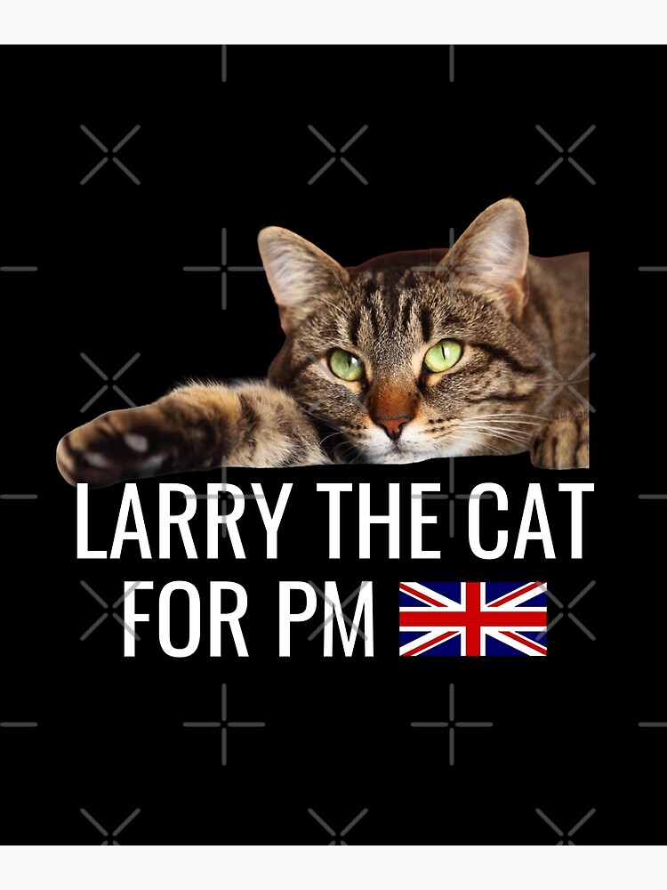 Lámina fotográfica «Larry el gato para PM. Foto Gato atigrado ...
