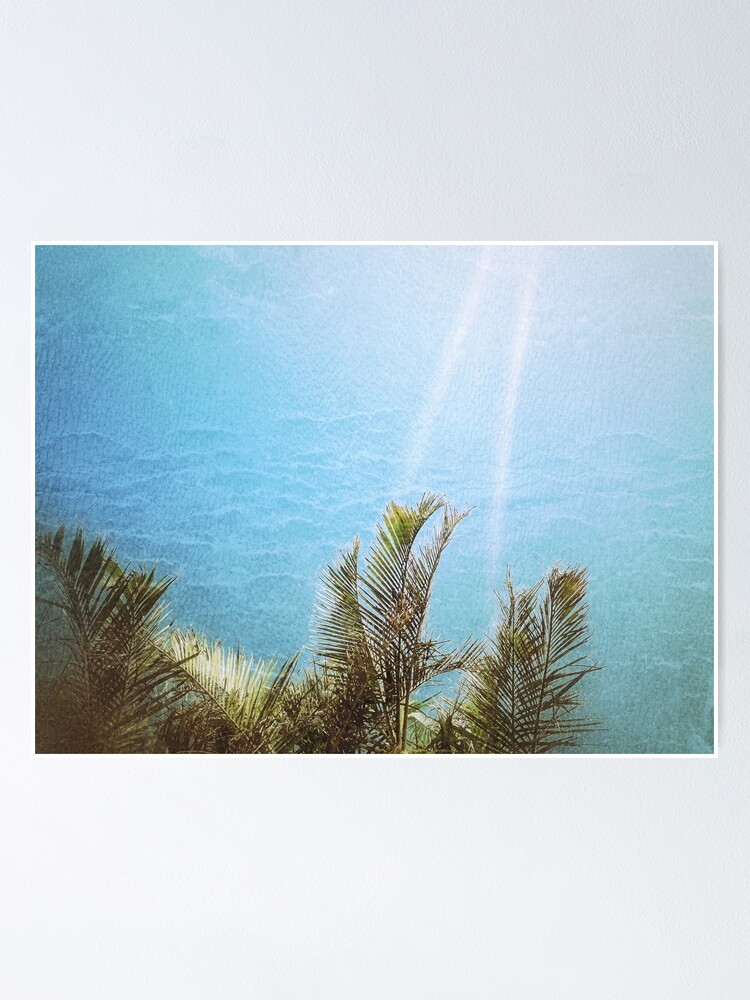 "Tropical Palms with Ocean Textured Look Light Blue Background ...