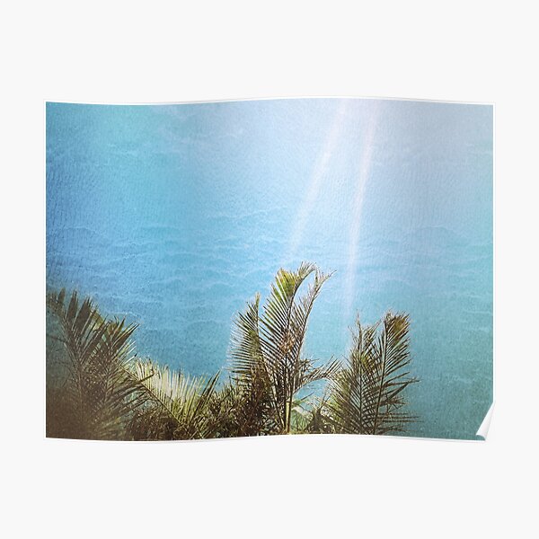 "Tropical Palms with Ocean Textured Look Light Blue Background ...