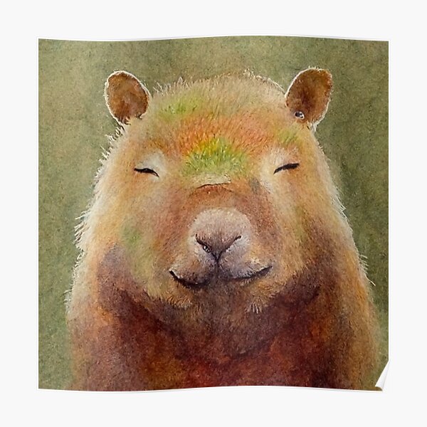 "Calm Capybara" Poster for Sale by recollectionsv | Redbubble