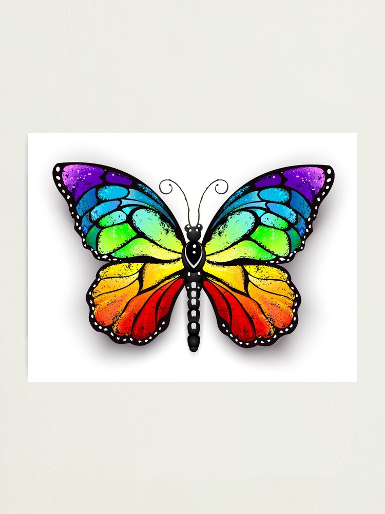 "Rainbow monarch butterfly ( Butterflies ) Rainbow butterfly ...