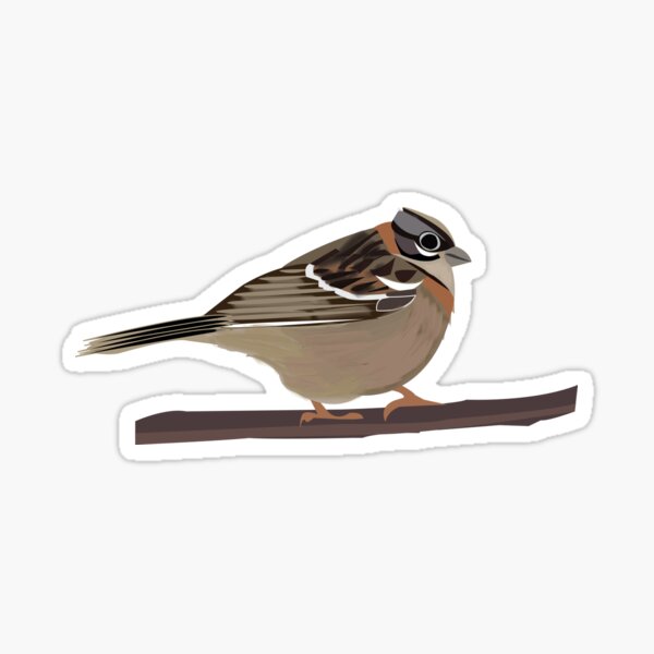 "Bird Wild Birds Crowned Sparrow" Sticker for Sale by nishaprabhu ...