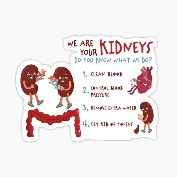 "Dialysis Technician Kidney Keeping It Renal Nephrology Nurse" Sticker ...