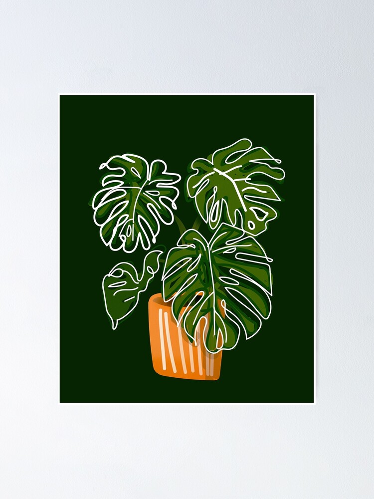 "Monstera Plant Drawing" Poster for Sale by DesignAndTales | Redbubble