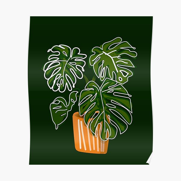"Monstera Plant Drawing" Poster for Sale by DesignAndTales | Redbubble