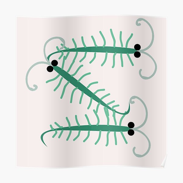"Z- Alphabet series rough hand drawn worms" Poster for Sale by ...