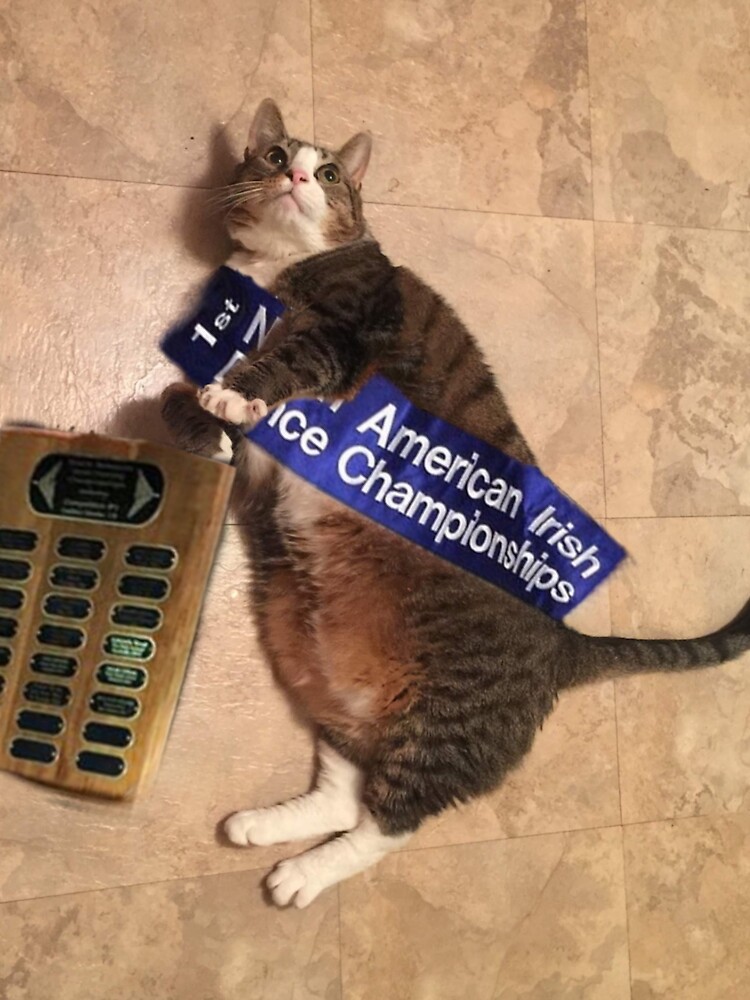 "National champ fat cat" Sticker for Sale by wmhx0 | Redbubble