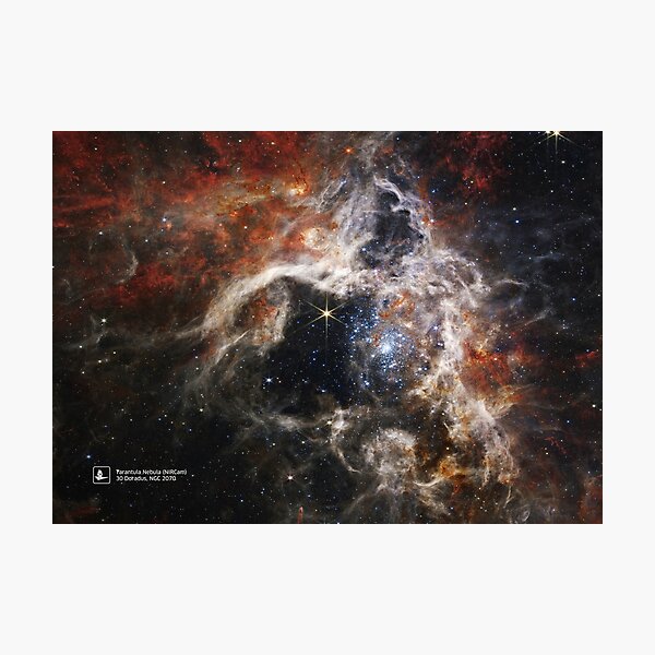 "JWST Tarantula Nebula, 30 Doradus, NGC 2070 (James Webb/JWST) — space ...