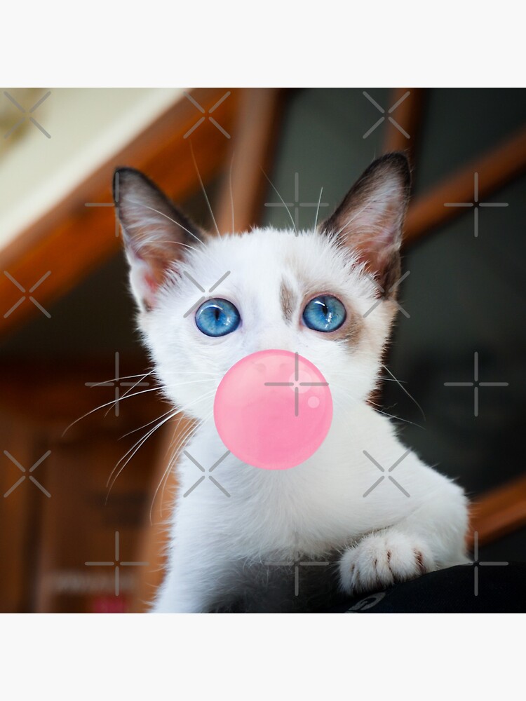 "Cute Cat Chewing Bubble gum" Sticker for Sale by NinniSilver | Redbubble