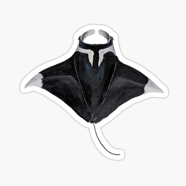 "Manta Ray" Sticker for Sale by Jordie-ange | Redbubble