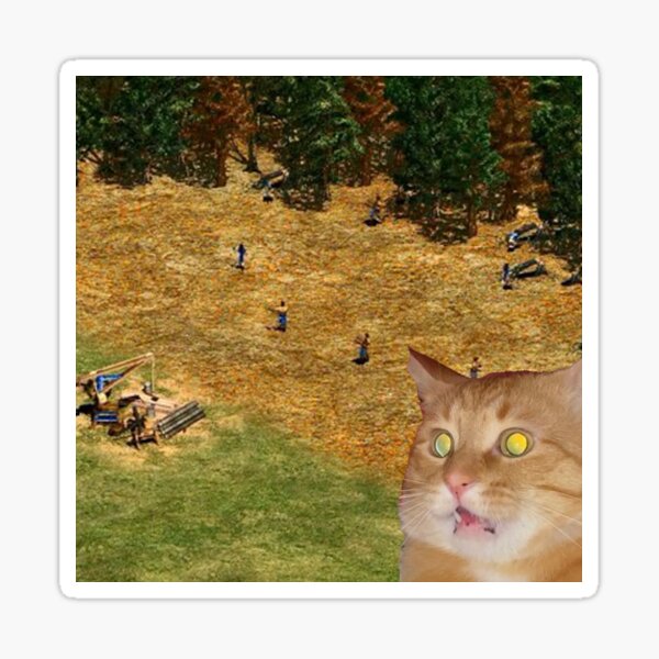 "AOE stressing my cat 4" Sticker for Sale by karolie | Redbubble