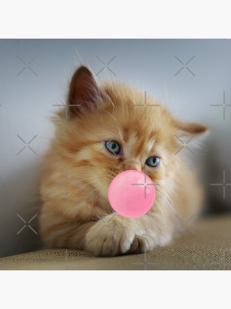 "Ginger Cat Chewing Bubble gum" Sticker for Sale by NinniSilver | Redbubble