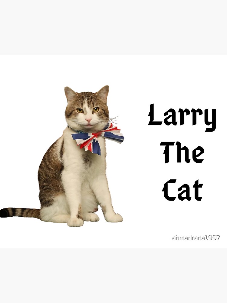 "Larry The Cat " Poster for Sale by ahmadrana1997 | Redbubble
