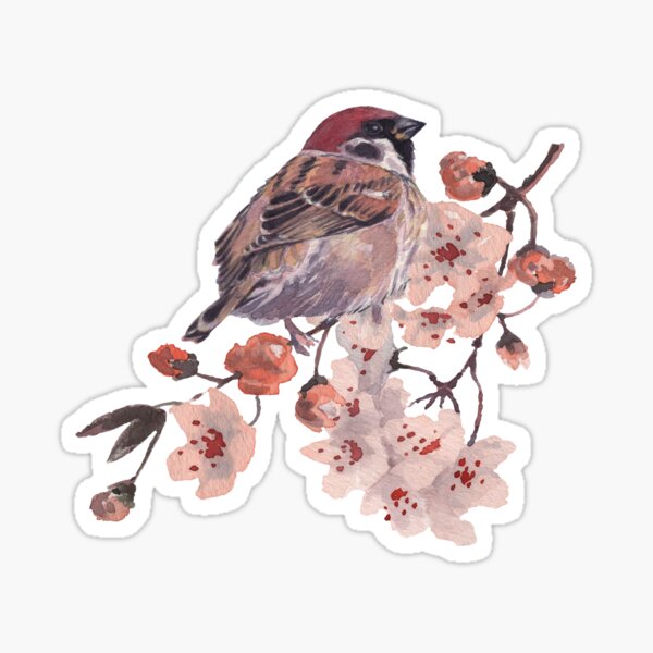 "Watercolor Male Sparrow Bird" Sticker for Sale by virillanissa | Redbubble