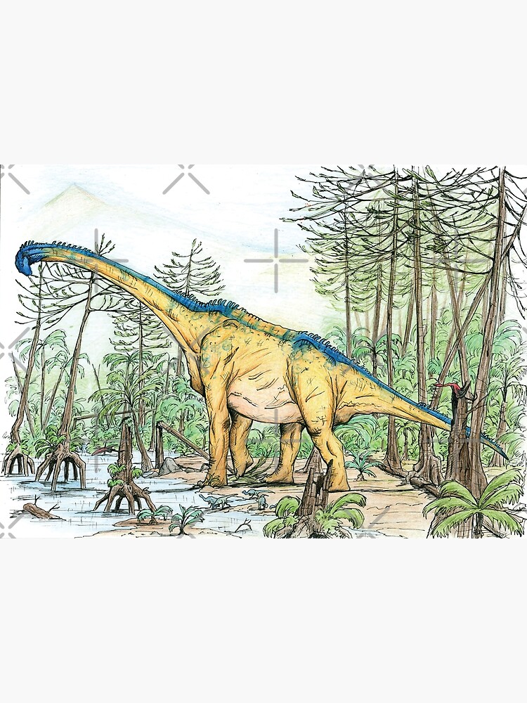 "Brachiosaurus Dinosaur Illustration" Poster for Sale by zenithcreative | Redbubble