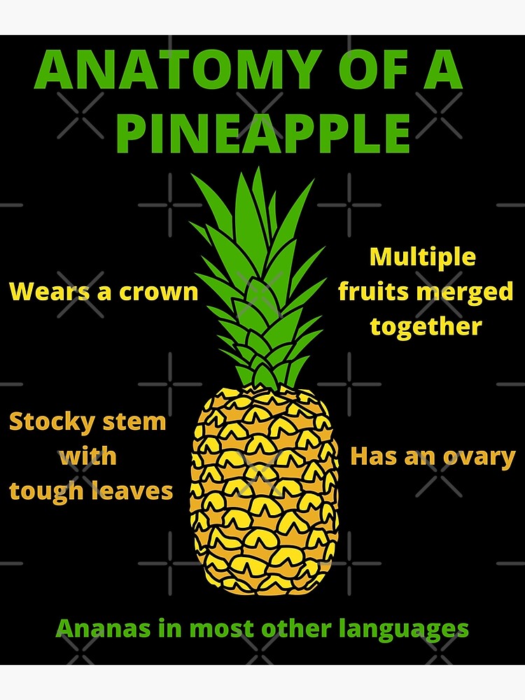 "Anatomy Of A Pineapple" Poster for Sale by RockBeeDesigns | Redbubble