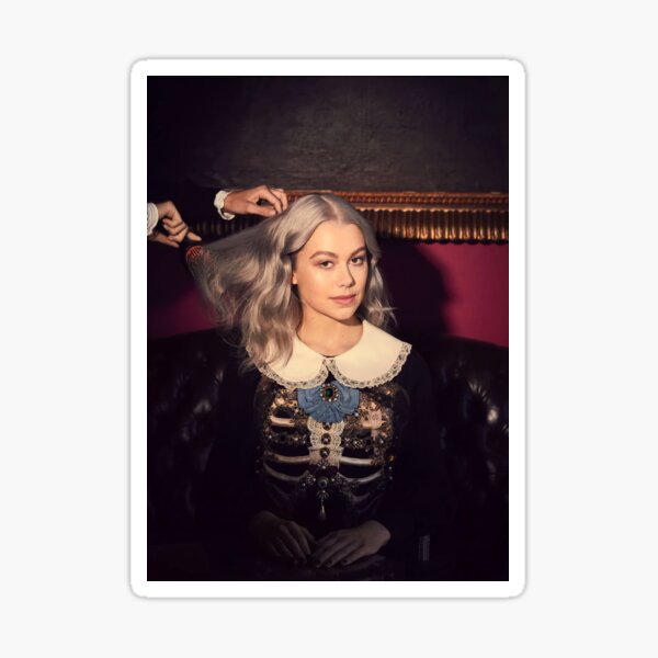 "American Phoebe Singer" Sticker for Sale by alexwongki | Redbubble