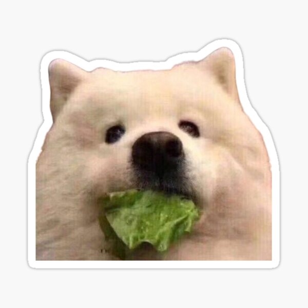 "Dog Meme Sticker Pack" Sticker for Sale by troengg | Redbubble