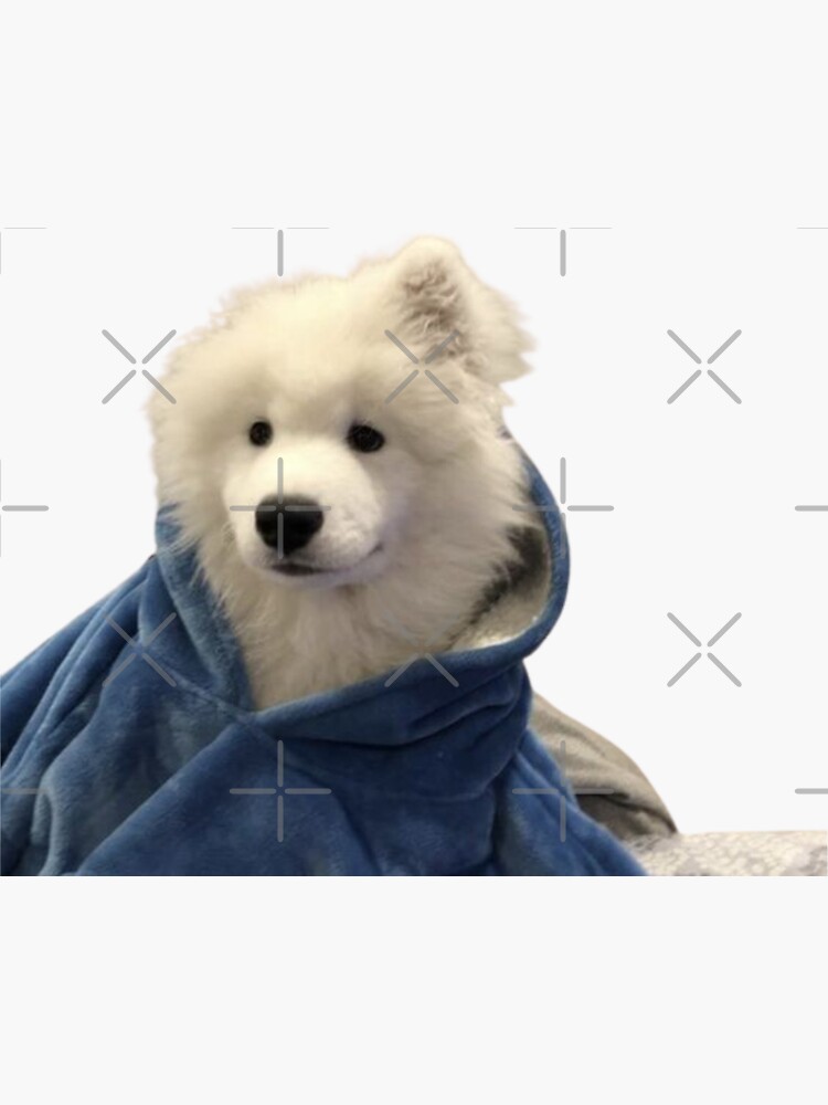 "Dog Meme Sticker Pack" Sticker for Sale by troengg | Redbubble