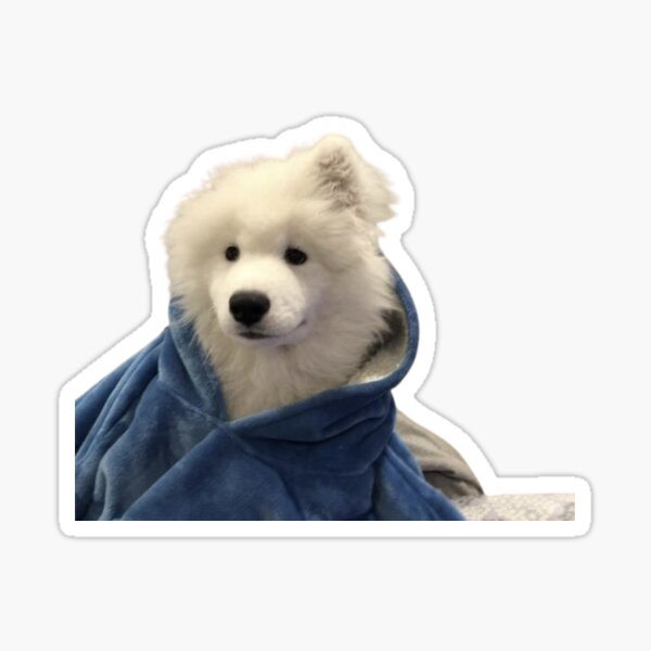 "Dog Meme Sticker Pack" Sticker for Sale by troengg | Redbubble