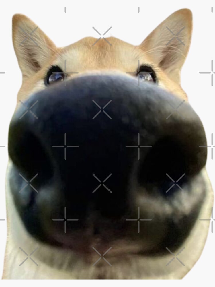 "Dog Meme Sticker Pack" Sticker for Sale by troengg | Redbubble