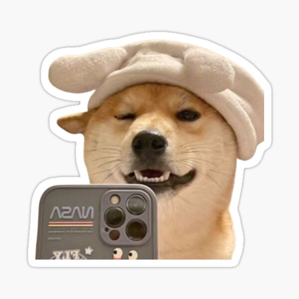 "Dog Meme Sticker Pack" Sticker for Sale by troengg | Redbubble