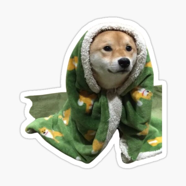 "Dog Meme Sticker Pack" Sticker for Sale by troengg | Redbubble
