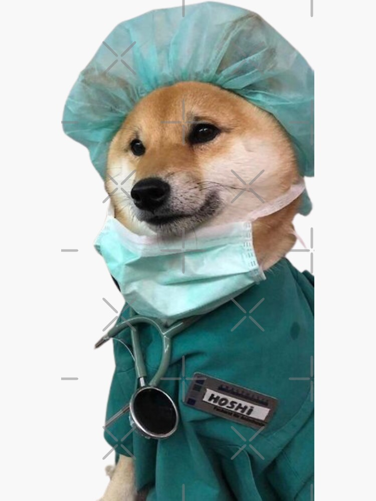 "Dog Meme Sticker Pack" Sticker for Sale by troengg | Redbubble