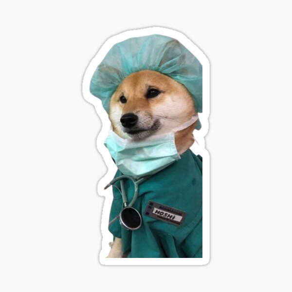 "Dog Meme Sticker Pack" Sticker for Sale by troengg | Redbubble