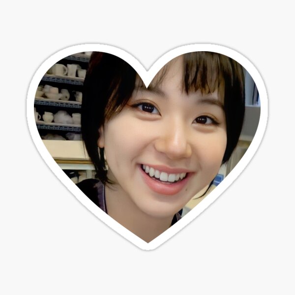 "Chaeyoung cute" Sticker for Sale by BBIZZ | Redbubble