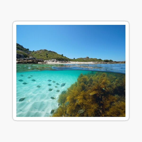 "Beach coastline and fish with algae underwater ocean Spain" Sticker ...