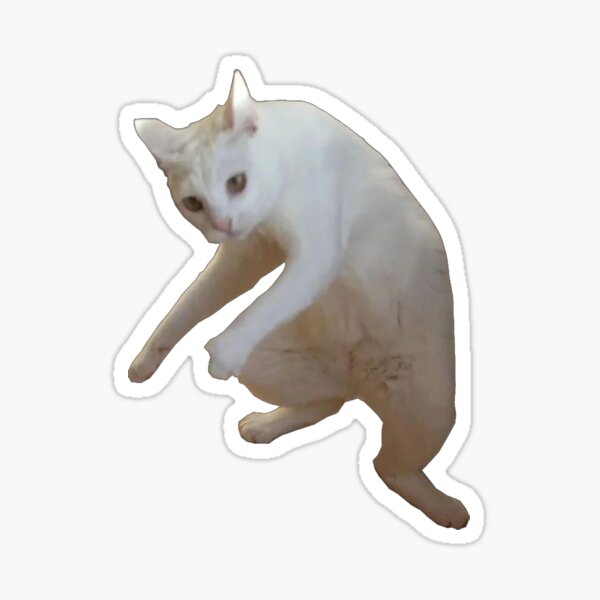 "cat meme sticker" Sticker for Sale by ButterflyBoiUgh | Redbubble