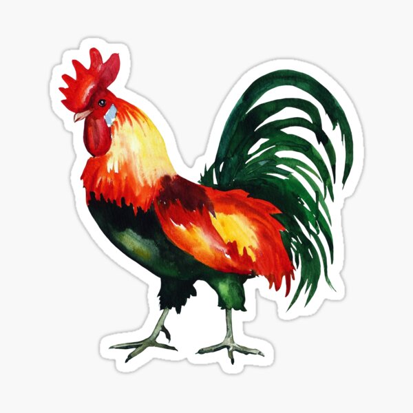 "Rooster " Sticker for Sale by ByTet | Redbubble